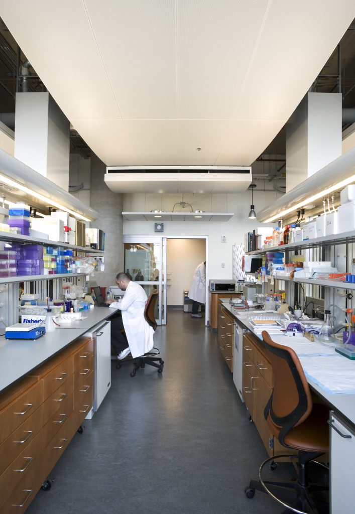 The Fayez S. Sarofim Research Building, Institute of Molecular Medicine (IMM) - INI Design Studio