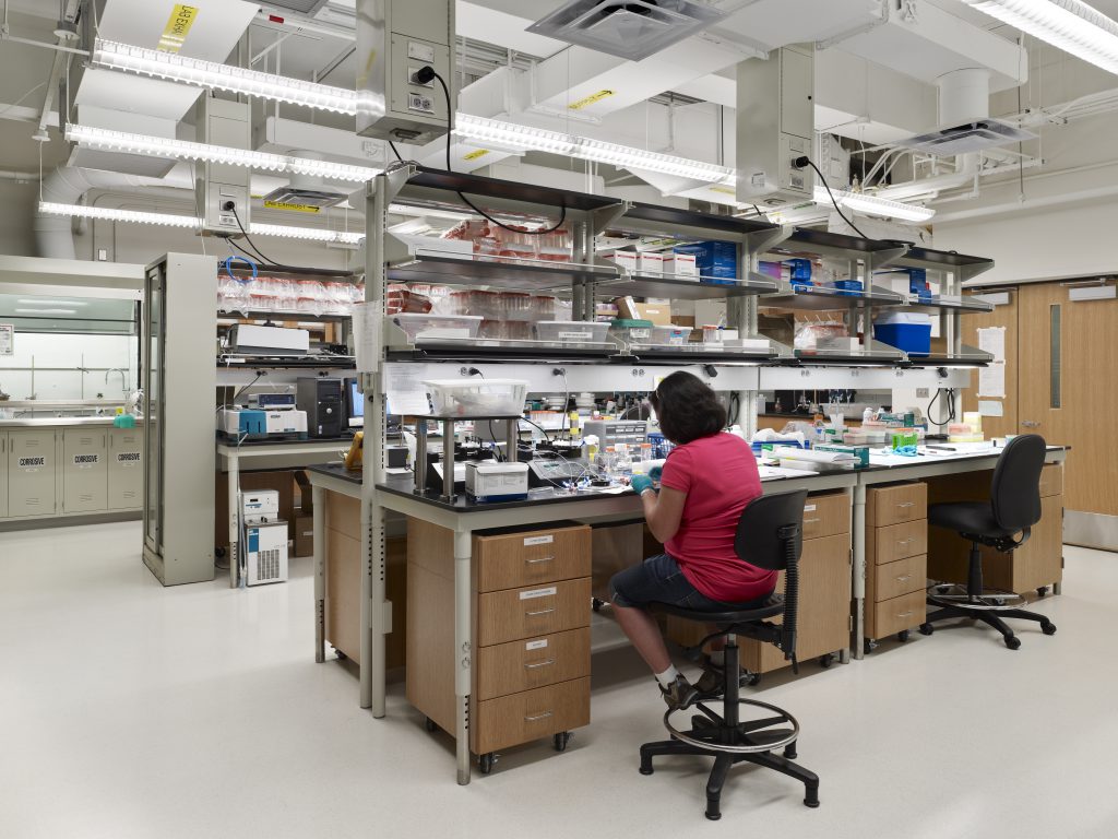 Cornell University - INI Design Studio