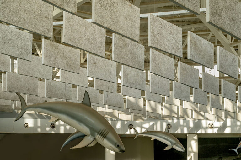 Aquatic Gallery at Science City - INI Design Studio