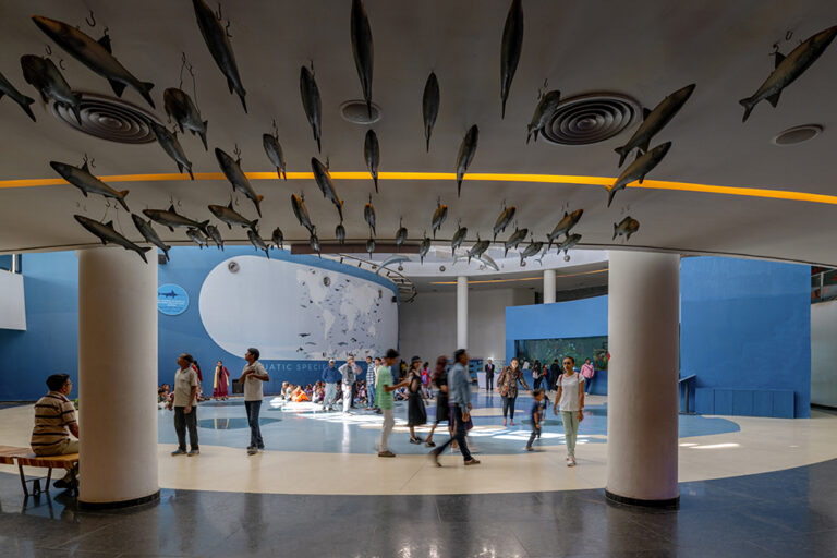 Aquatic Gallery at Science City - INI Design Studio
