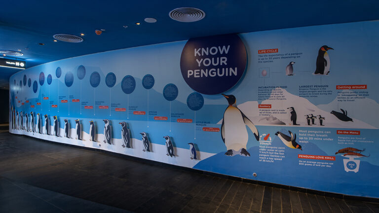 Aquatic Gallery at Science City - INI Design Studio