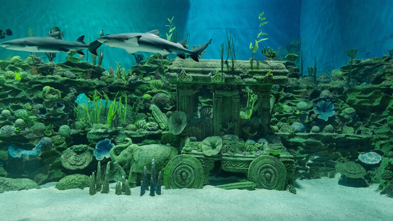 Aquatic Gallery at Science City - INI Design Studio