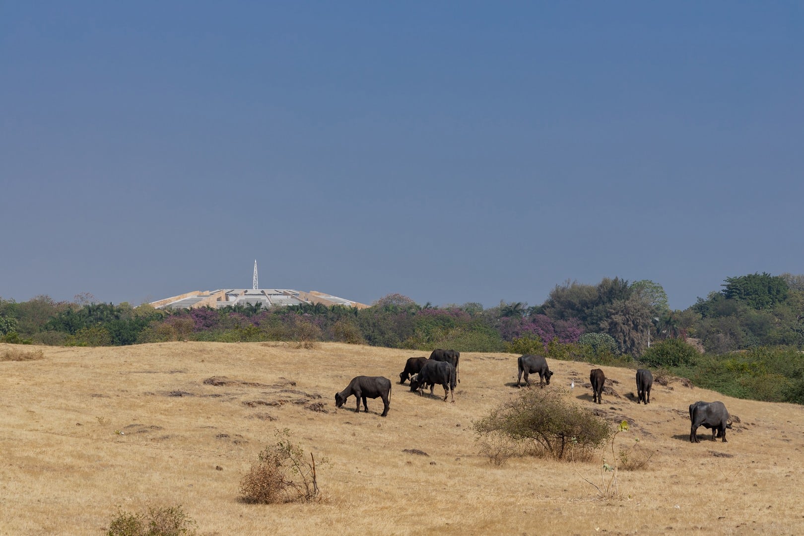 Regional Science Centre (RSC) at Rajkot - INI Design Studio