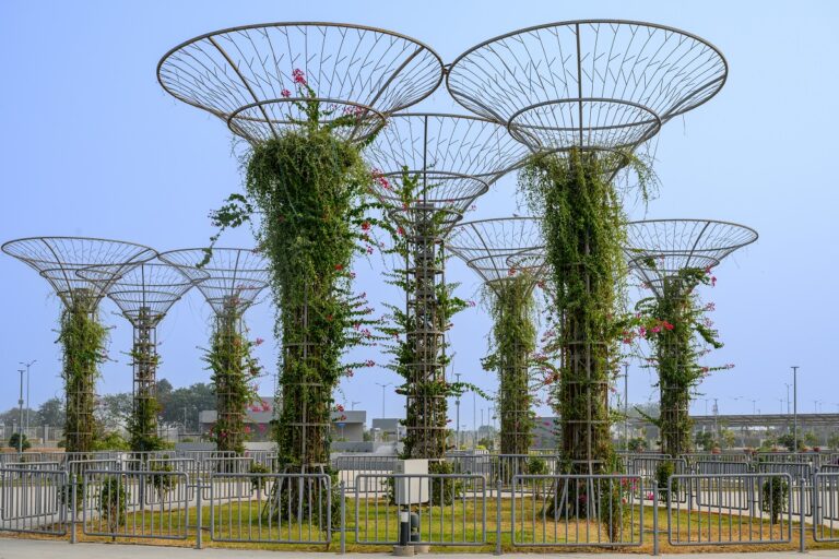 Atal Sarovar - Rajkot Smart City Under Smart Cities Mission, Government ...